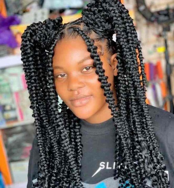 Stylish Jungle Braids Ideas to try this season - Claraito's Blog
