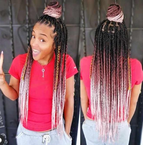 40 Mixed Color Box Braids Ideas - Best Combination - Claraito's Blog