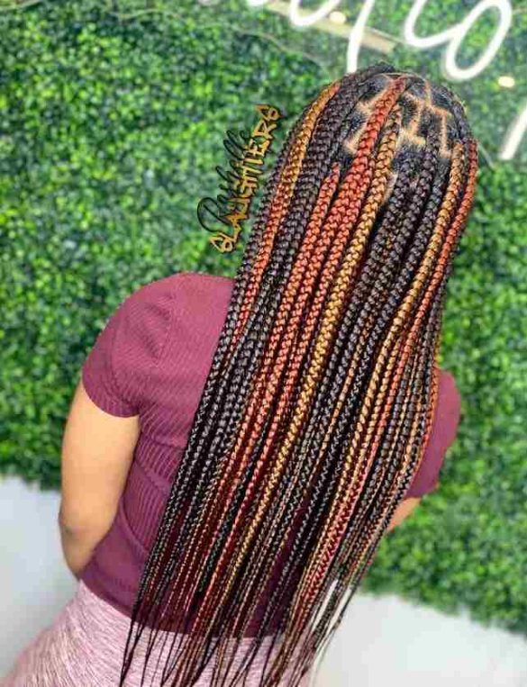 40 Mixed Color Box Braids Ideas - Best Combination - Claraito's Blog