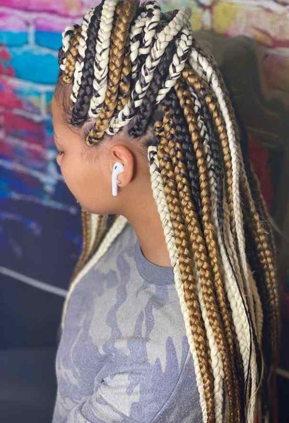 40 Mixed Color Box Braids Ideas - Best Combination - Claraito's Blog