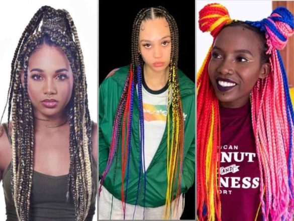 40 Mixed Color Box Braids Ideas - Best Combination - Claraito's Blog