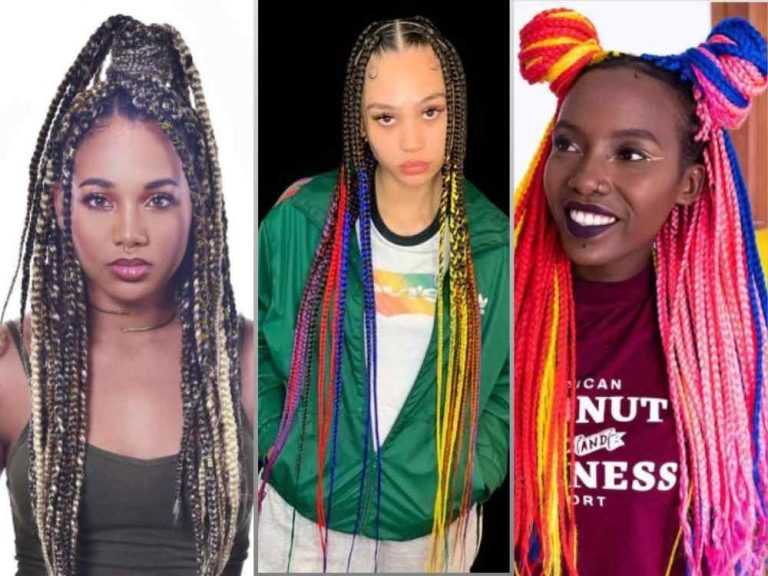 40 Mixed Color Box Braids Ideas - Best Combination - Claraito's Blog